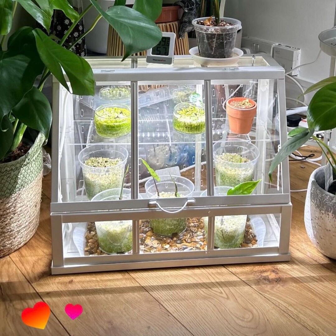Akerbar Small Acrylic Pegboard - Ikea Greenhouse Plant Cabinet UK - Etsy UK