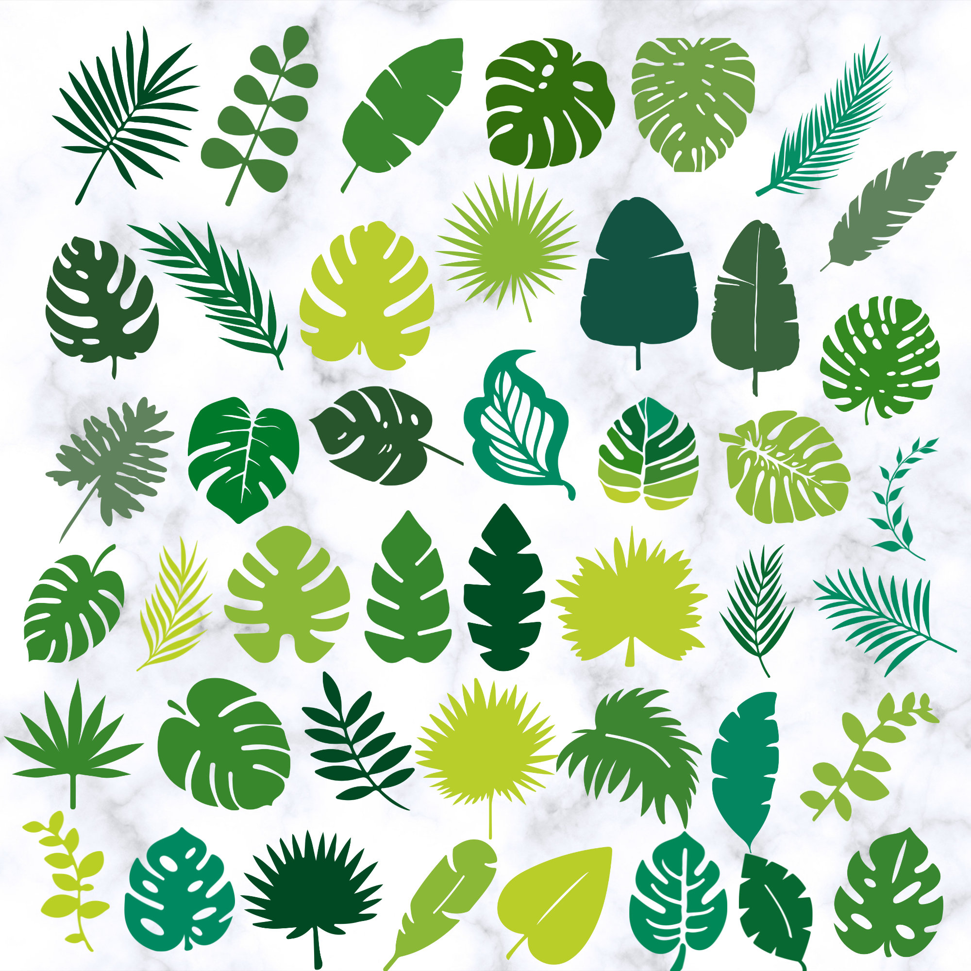 Clipart Palm Tree Leaf