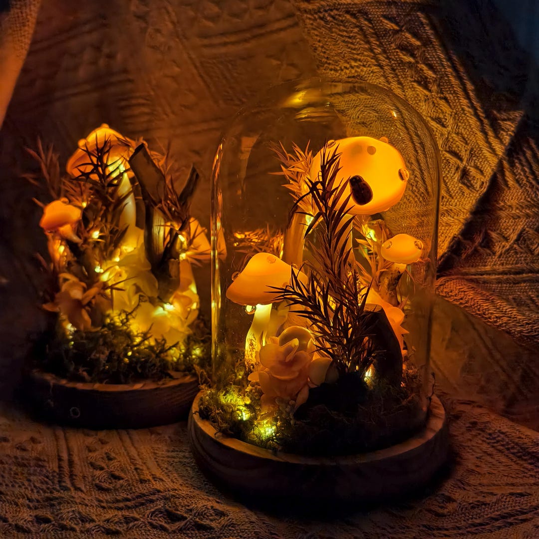 Woodland Whimsy Mushroom Decor, Mushroom Lights, Birthday Gift ...