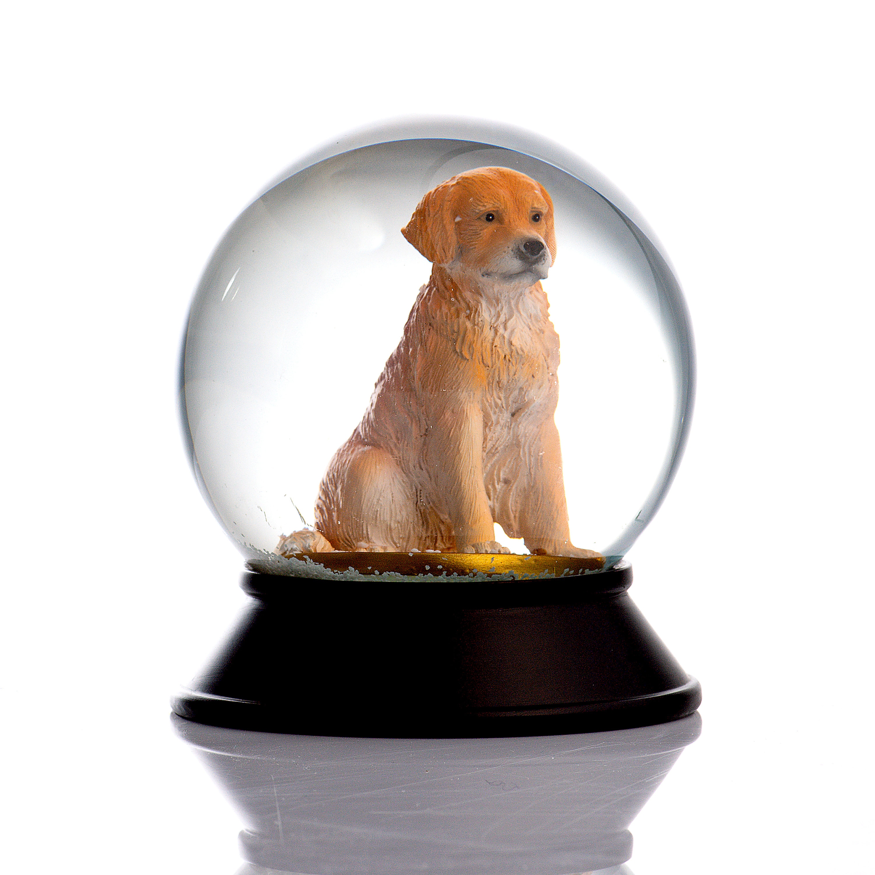 Snoowg Pet Snow Globe | Golden Retriever | Customizable Name Tag ...