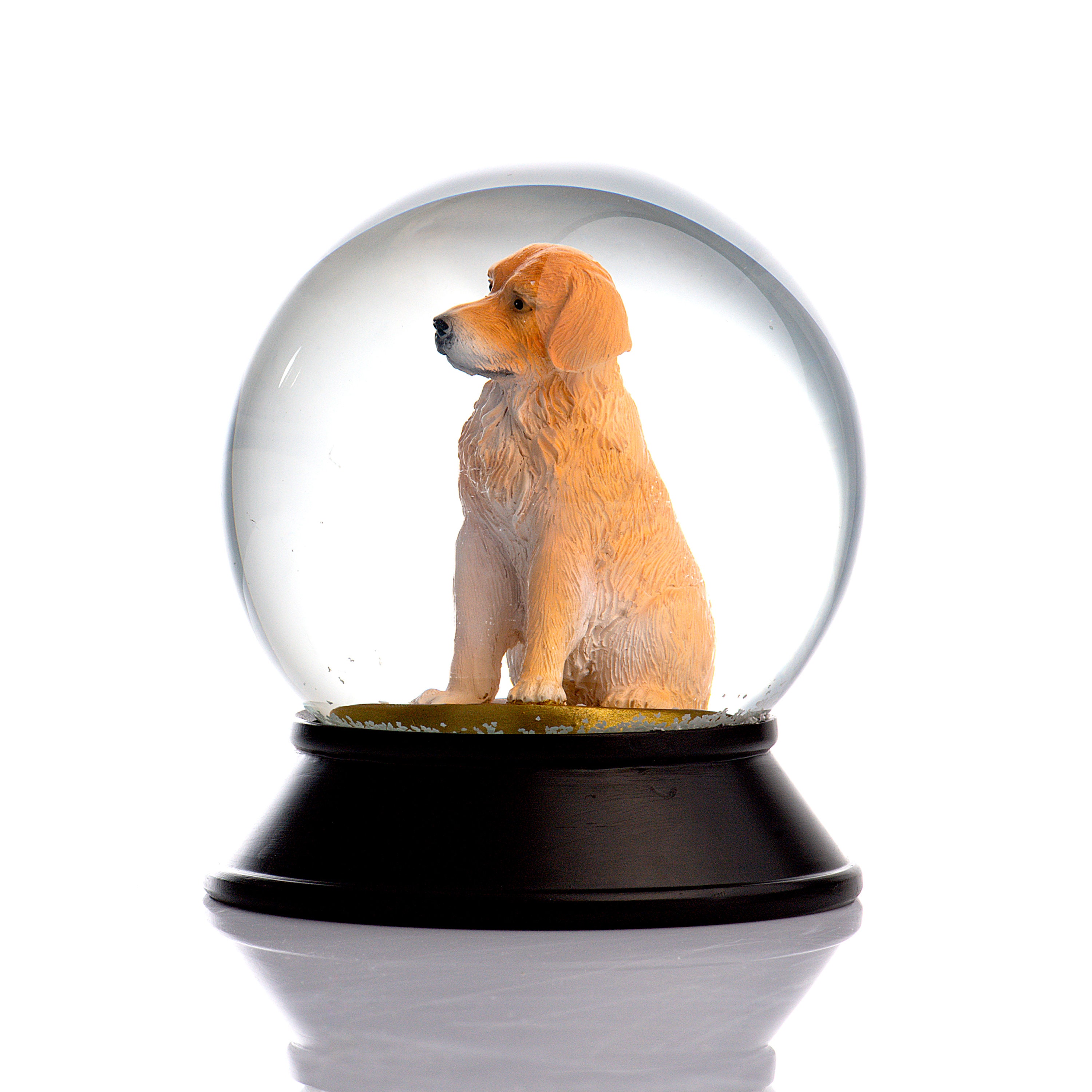 Snoowg Pet Snow Globe | Golden Retriever | Customizable Name Tag ...