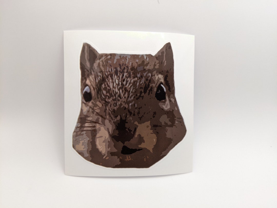 Alan, the Anxious Squirrel sticker - Etsy