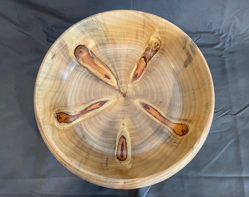 Norfolk Island Pine Bowl - Etsy