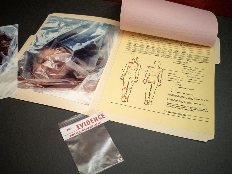 Twin Peaks Laura Palmer Autopsy File Prop Replica! Comes With 2 8x10 ...