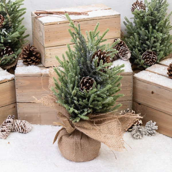 Frosted Pine Cones - Etsy