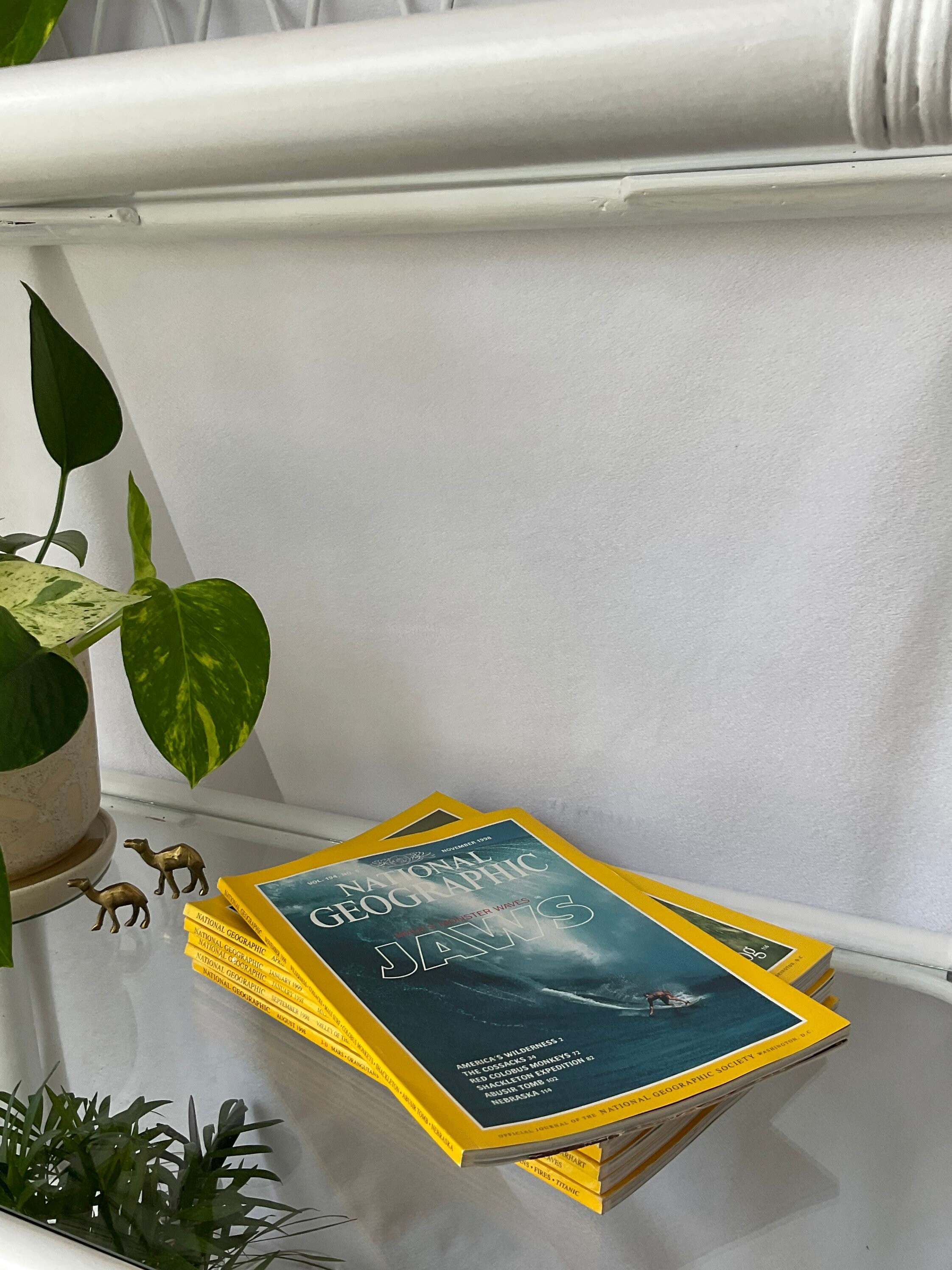 1998 Collection of National Geographic Vintage Magazine Prints - Etsy