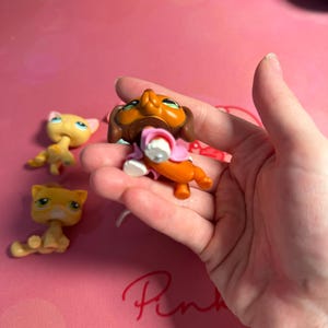 Littlest Pet Shop - LPS Popular - Authentic - Main 5 - Littlestpetshops ...