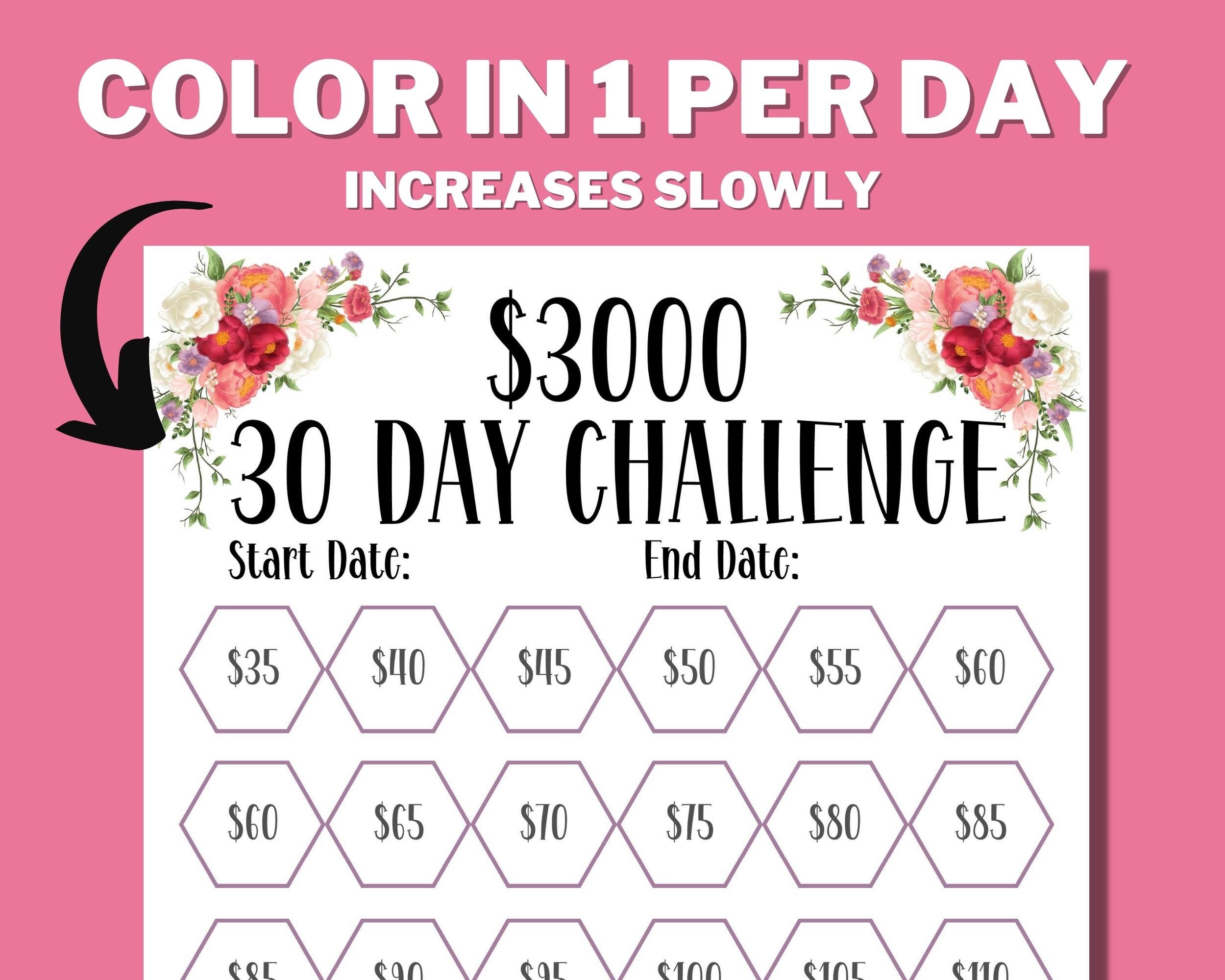 3K 30 DAY CHALLENGE Printable 3000 Money Saving Tracker 3K - Etsy