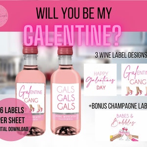 Galentine's Mini Wine Label, Wine Printable, Galentine's Day Mini ...