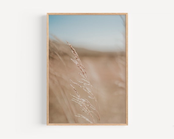 Neutral Boho Pampas Grass Printpampas Wall Artcoastal - Etsy