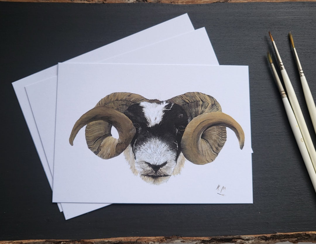 Ram Postcard 'ready to Ship' - Etsy