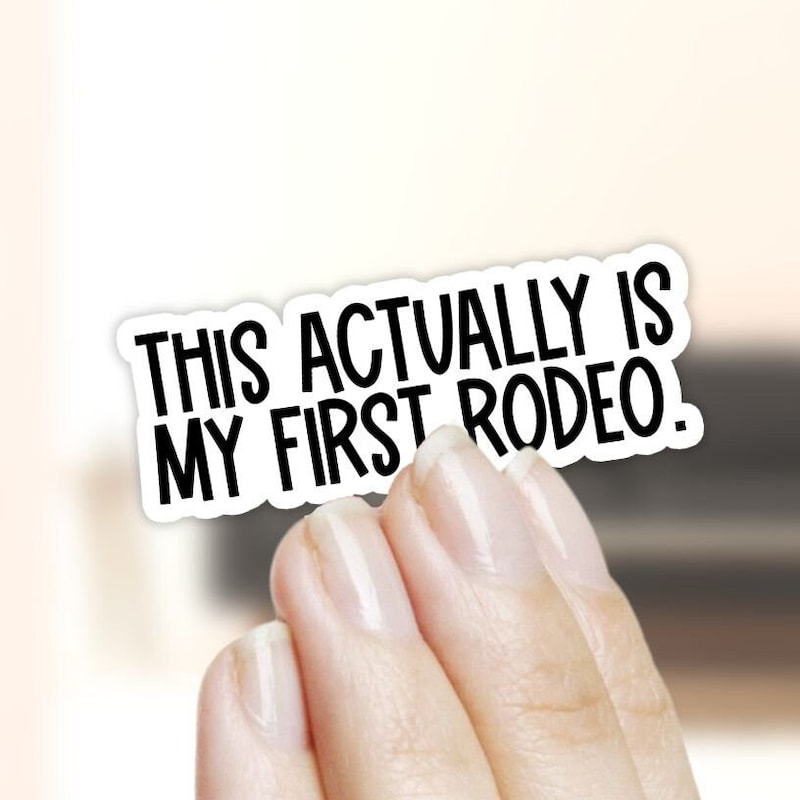 Funny Stickers - Etsy