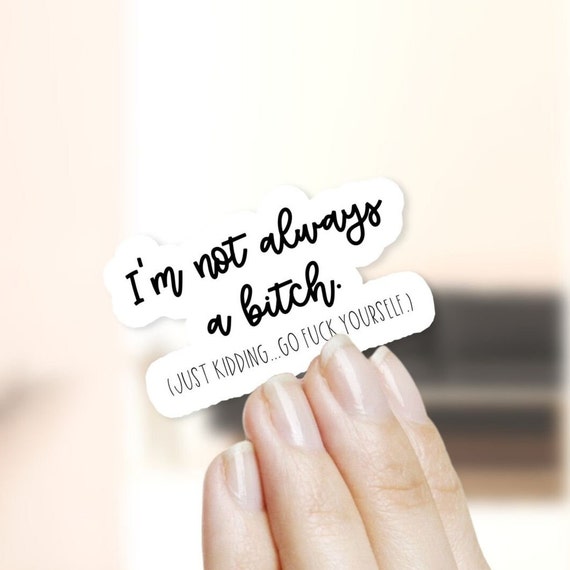 Funny Sarcastic Laptop Sticker Funny Sticker for Laptop - Etsy