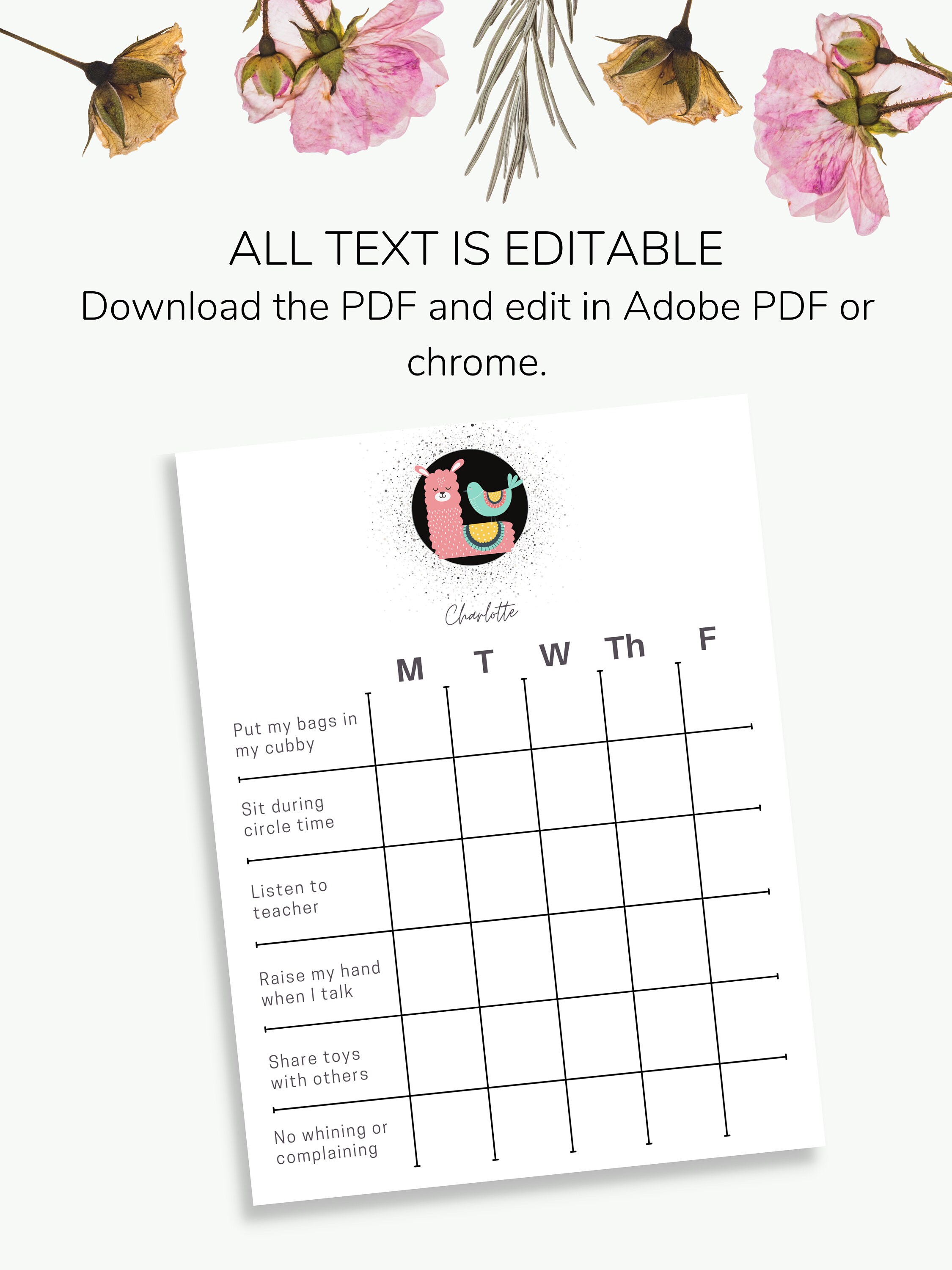 Editable Kids Allowance Chart Printable PDF, Kids Chores and Allowance ...
