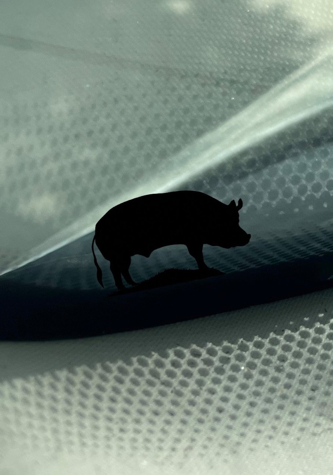 Tiny Pig Decal - Cute Pig Vinyl Sticker for Cars, Laptops, Water ...