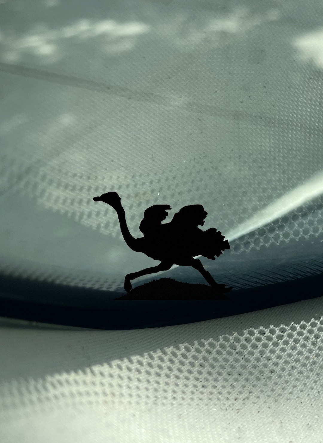 Tiny Ostrich Decal Enchanting Windshield Decal Easter Egg - Etsy