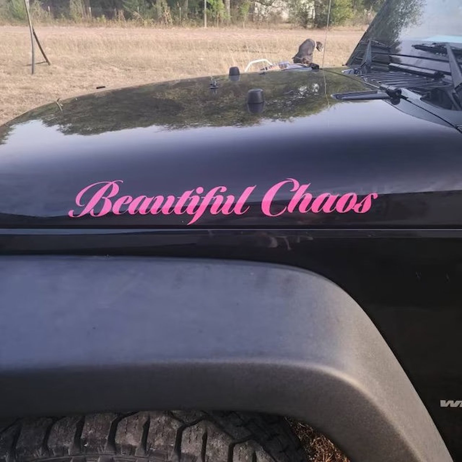 Custom Hood Decals for JL JT 4x4 Two Pack / Truck Hood - Etsy