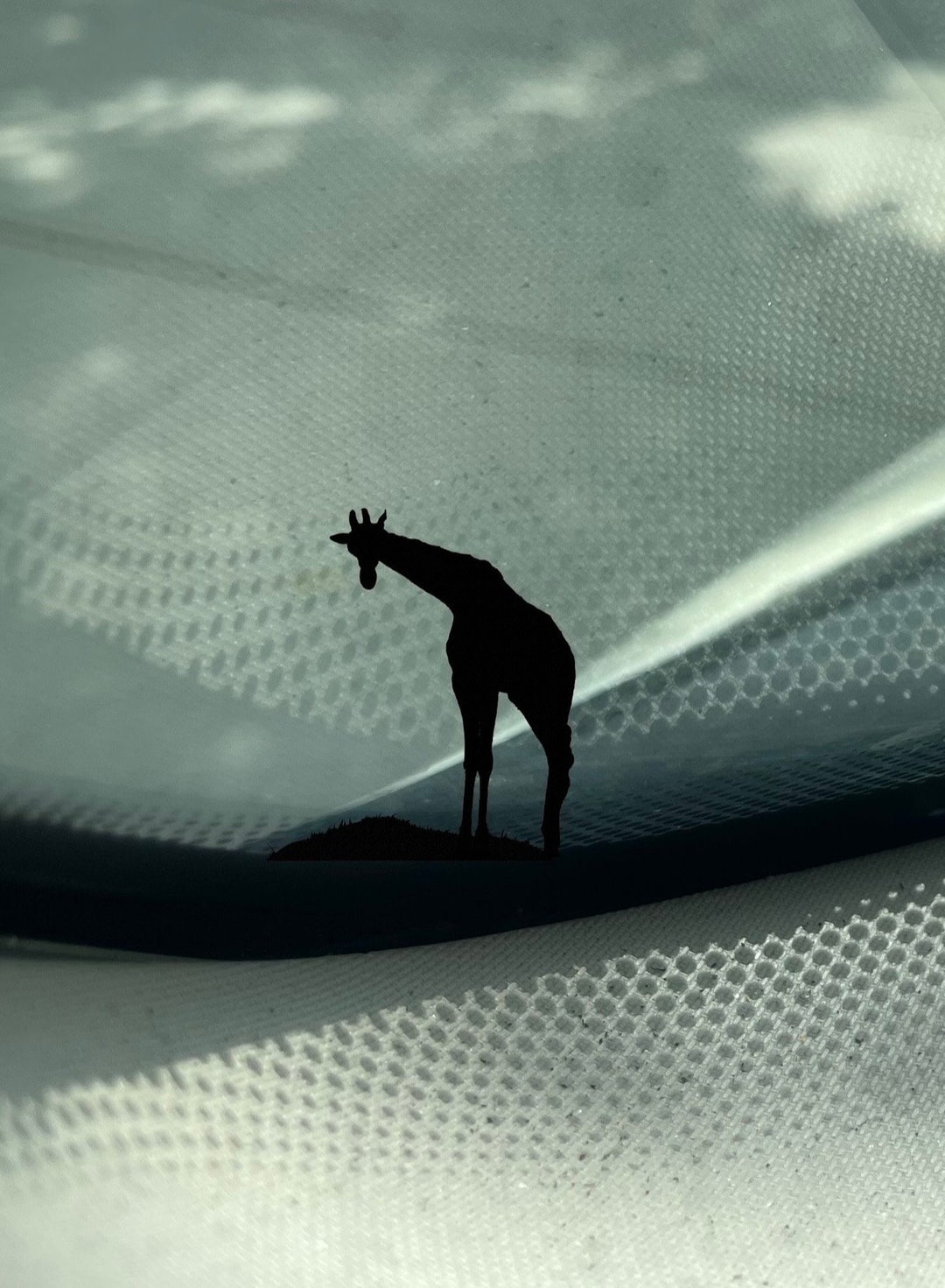 Enchanting Safari Tiny Giraffe Car Decal Tiny Hidden Easter Egg High ...