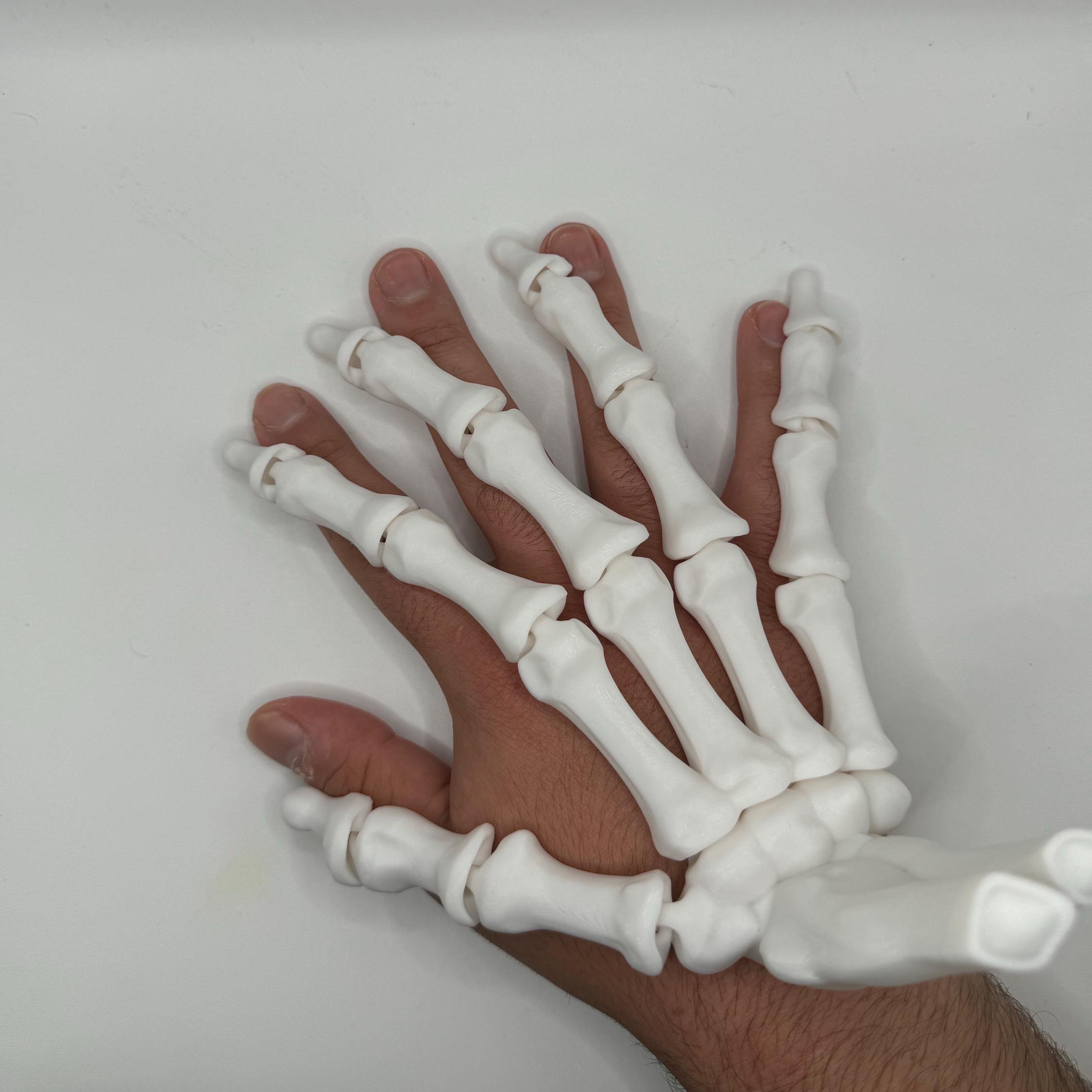 Articulated Skeleton Hand - Etsy