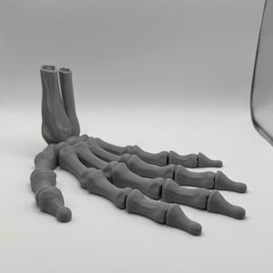 Articulated Skeleton Hand - Etsy