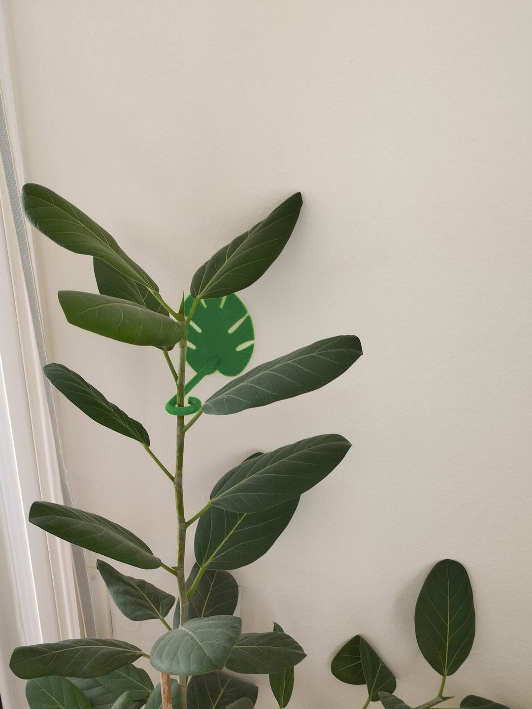 Plant Base | Plant Support - Etsy