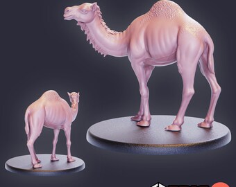 Dnd Camel - Etsy