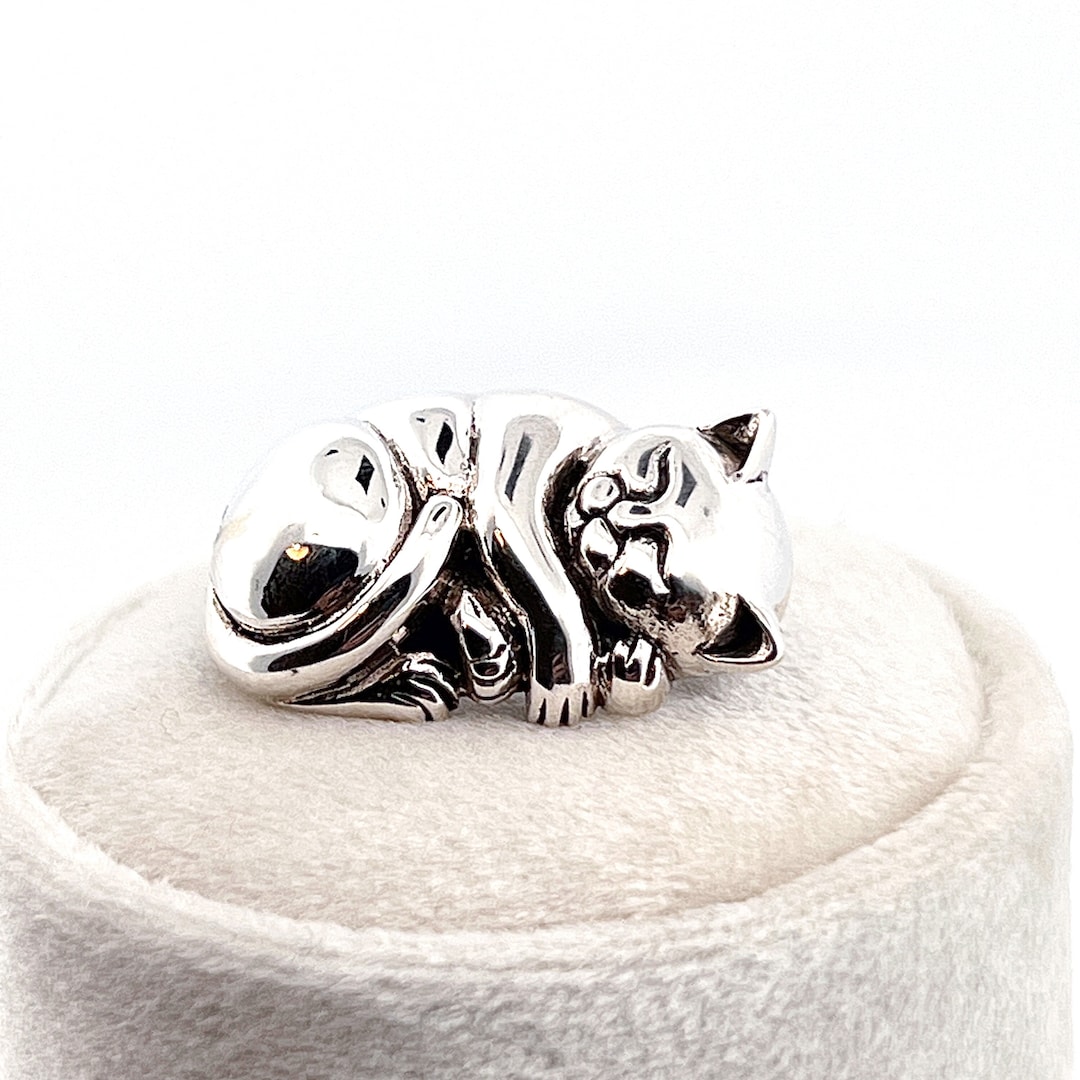 Cute Silver Sleeping Cat Pin - Etsy