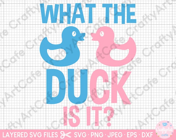 Gender Reveal Svg What the Duck is It Svg Funny Gender Reveal - Etsy