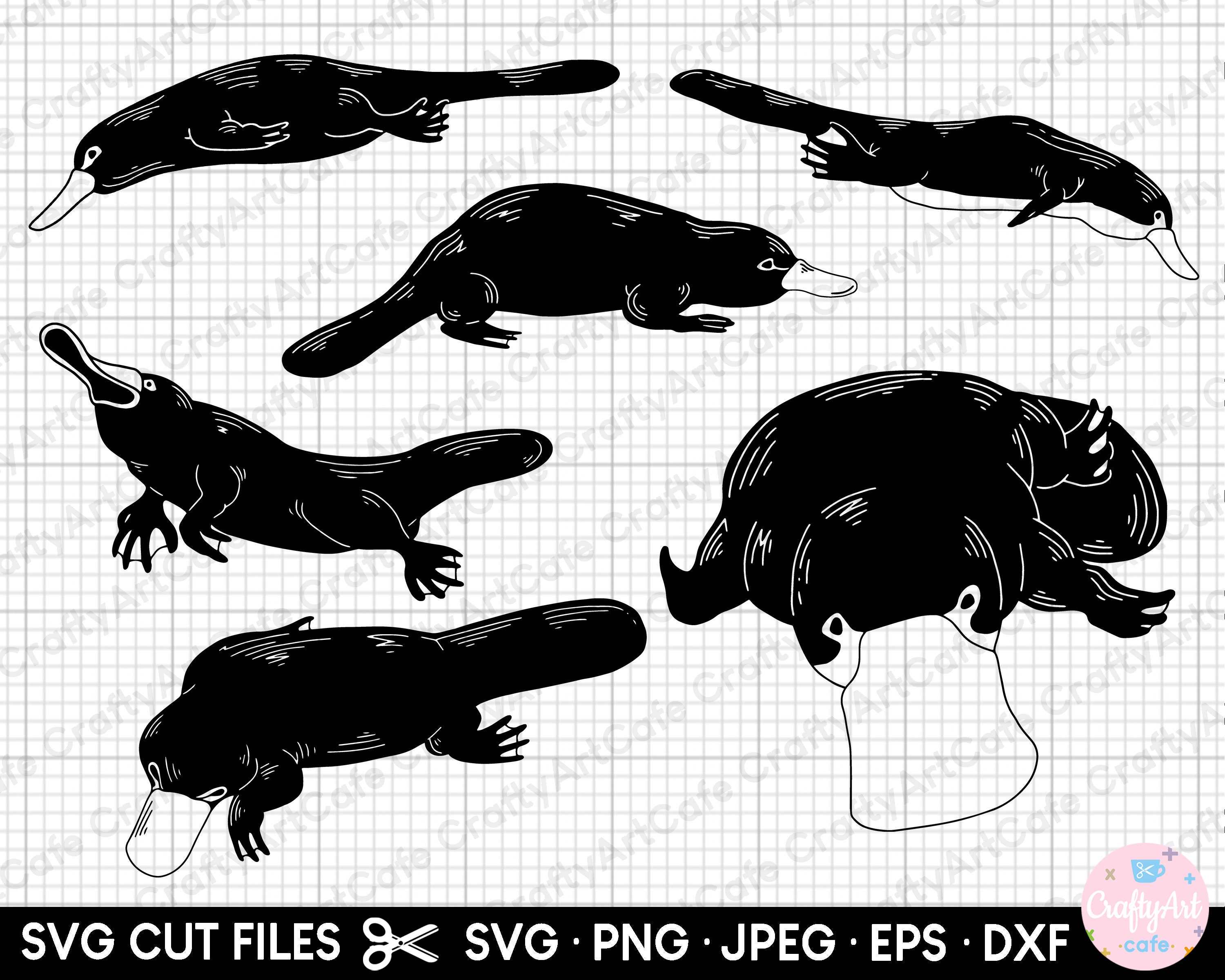 Platypus Svg Bundle Platypus Png Bundle Platypus Clipart Commercial Use ...