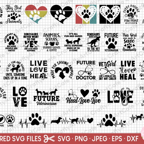Vet Svg Bundle Vet Png Bundle Veterinarian Svg Bundle - Etsy Australia