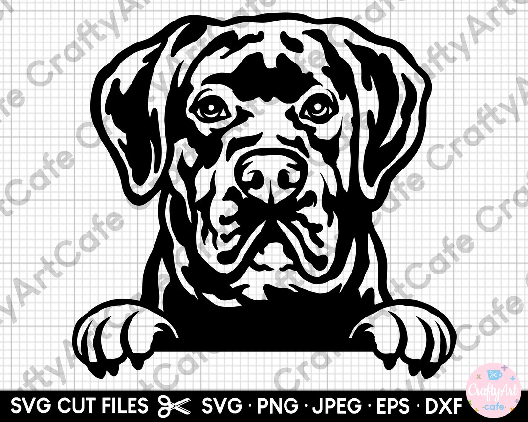 Cane Corso Peeking Svg - Etsy