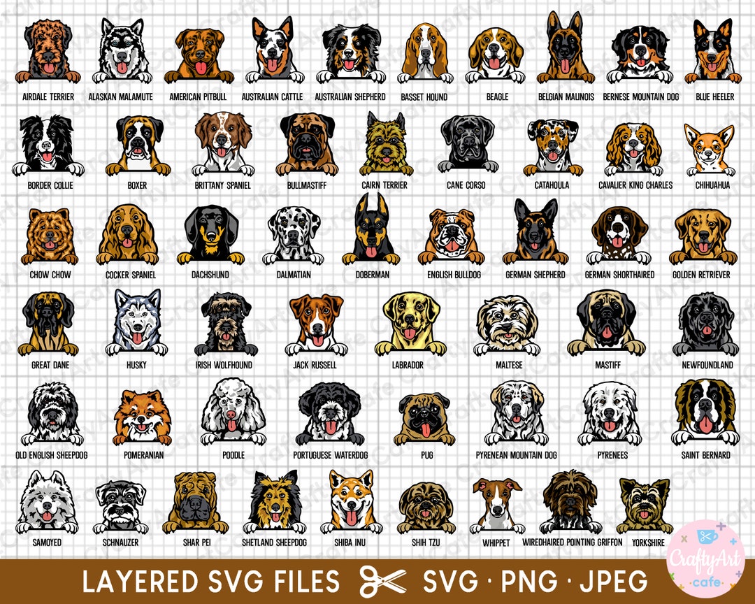 Perro mirando svg png paquete cricut archivos de máquina de - Etsy México