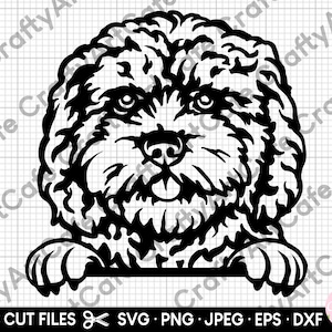 Cockapoo Peeking Svg for Cricut Cut File Cockapoo Png Cockapoo Clipart ...