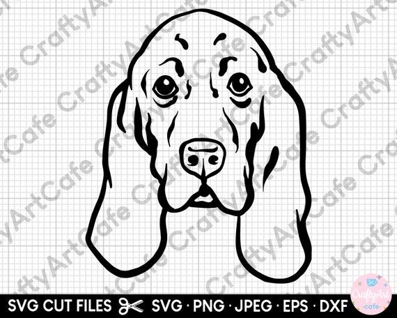 Basset Hound Svg Basset Hound Png Basset Hound Illustration - Etsy