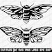 Cicada Svg Png Clipart - Etsy