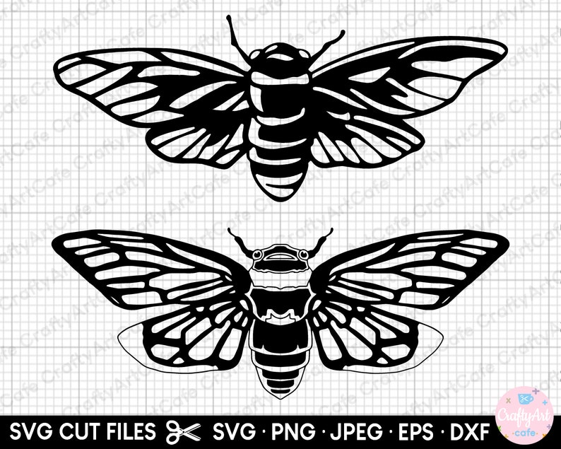 Cicada Svg Png Clipart - Etsy