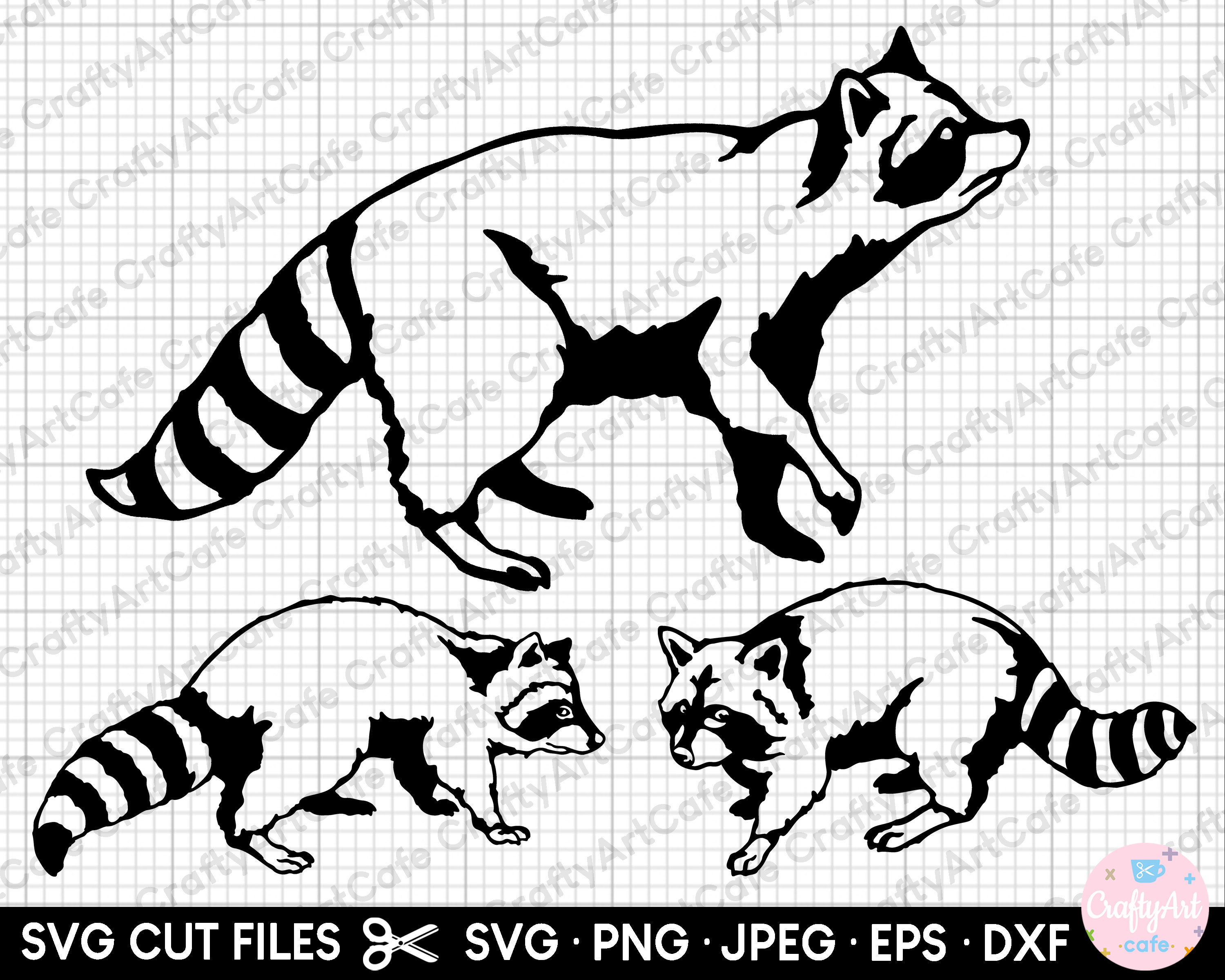 Racoon Svg Raccoon Svg Racoon Png Raccoon Png Racoon Clipart Vector ...