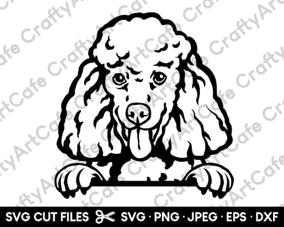Poodle Peeking SVG Poodle Peeking Png Eps Dxf Jpeg Jpg - Etsy