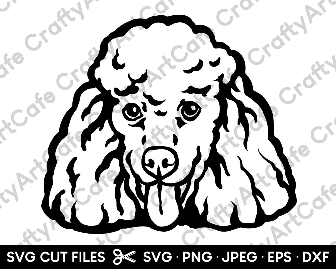 Poodle Head SVG - Etsy