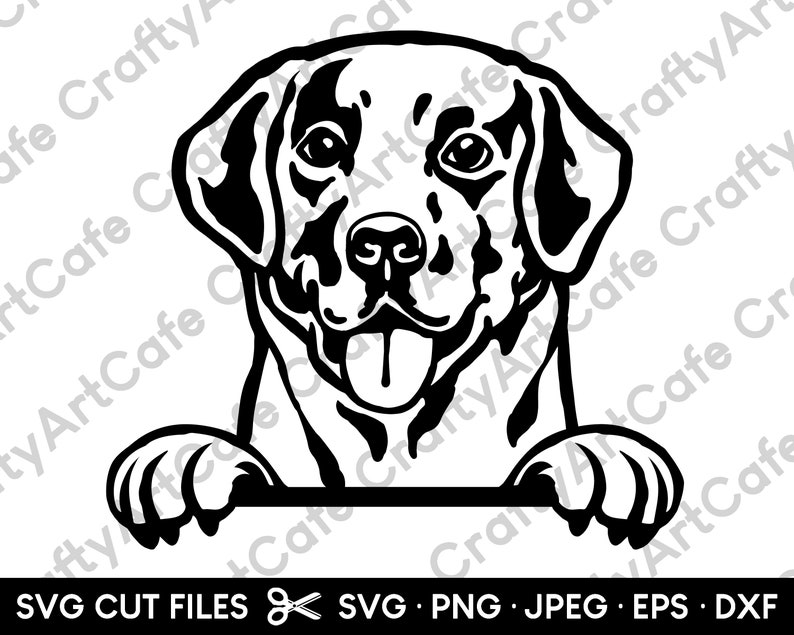 Labrador Peeking SVG - Etsy UK