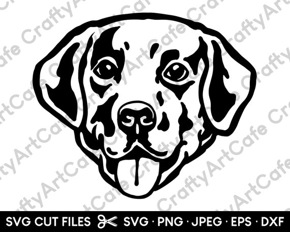 Labrador Head SVG | Etsy