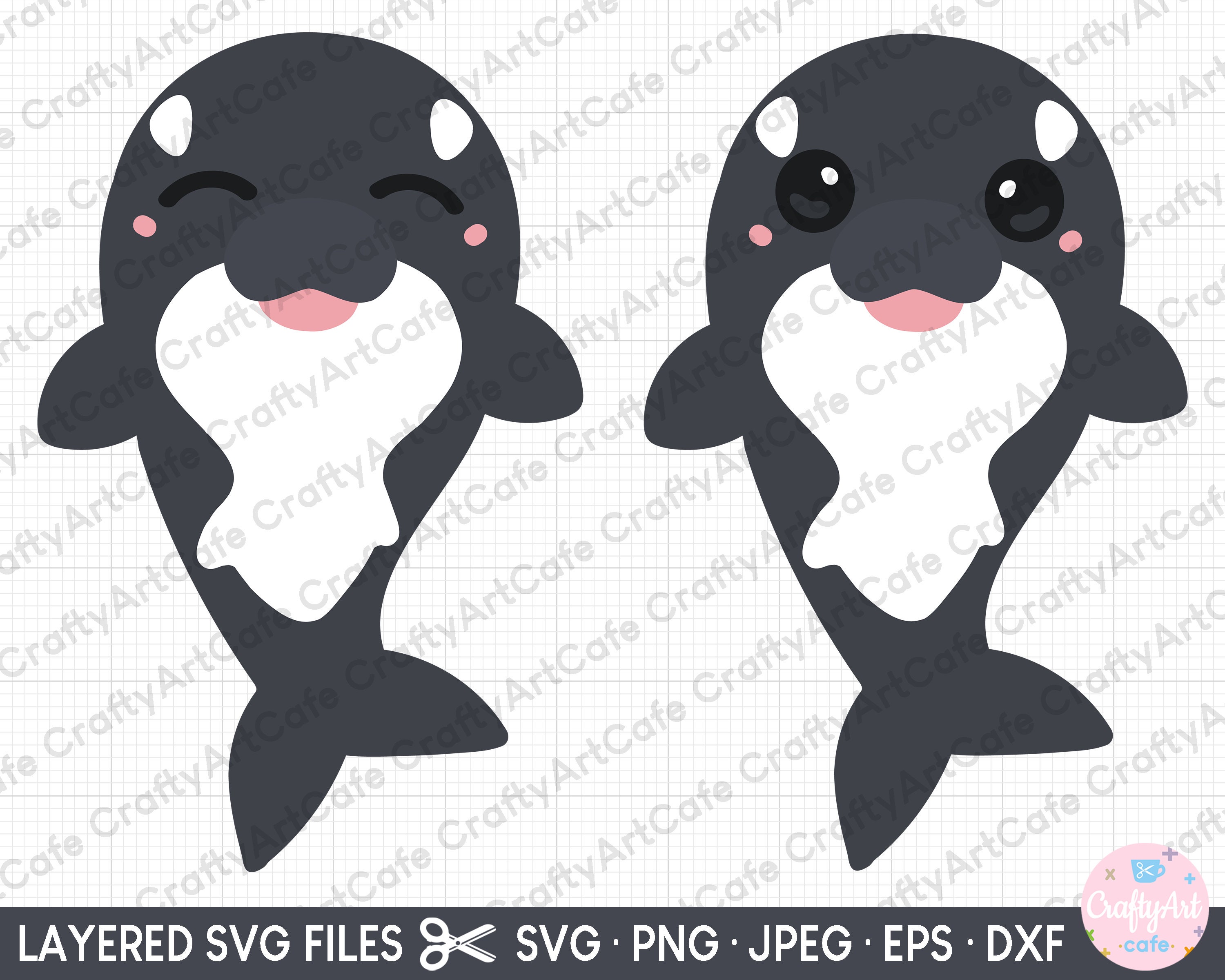 Mean Killer Whale Cartoon
