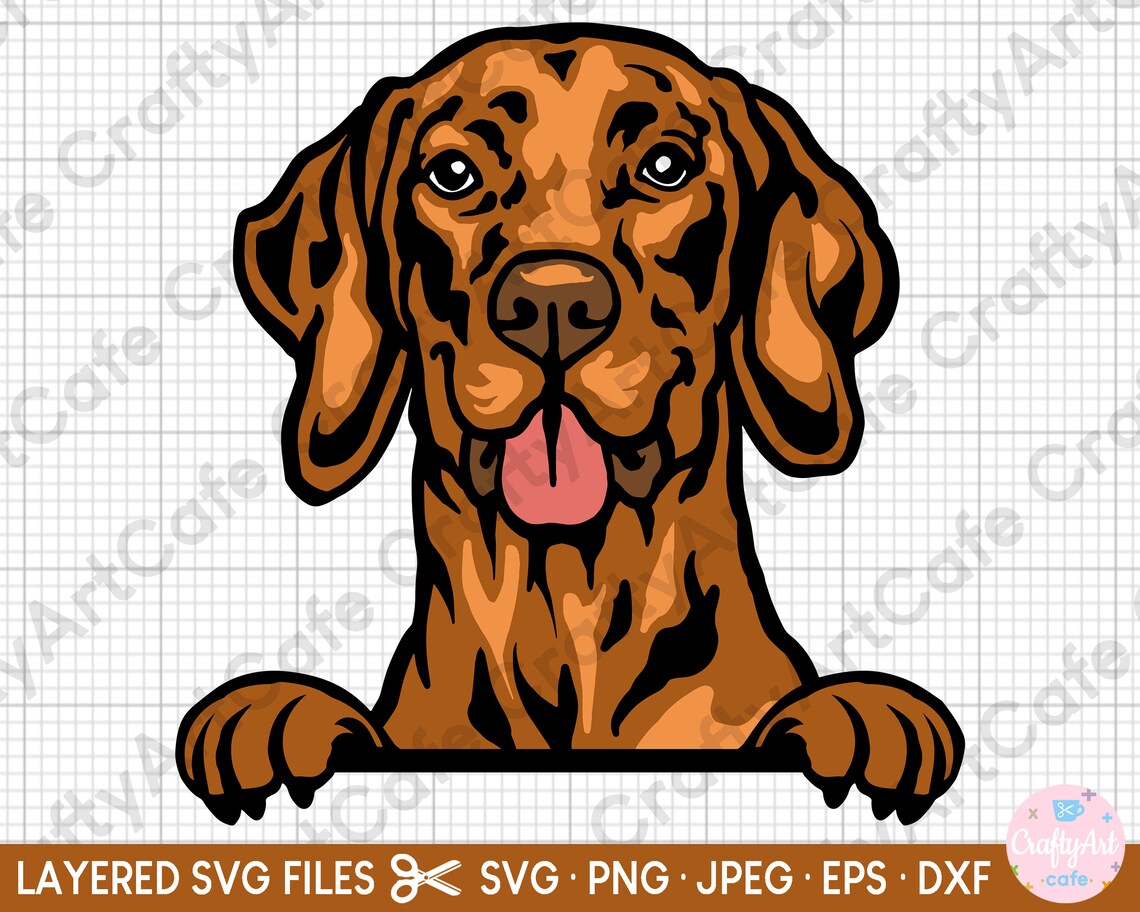 Vizsla Svg for Cricut Vizsla Svg Cut File Peeking Vizsla Svg - Etsy