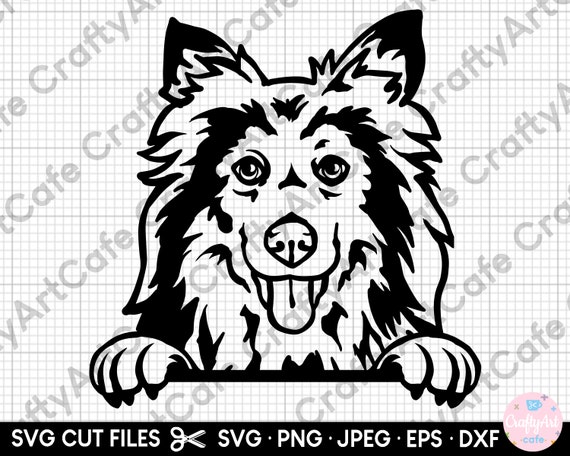 Shetland Sheepdog Svg Shetland Sheepdog Silhouette Shetland - Etsy