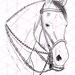 Horse Coloring Page Bridle Horse Digital Download NEW SIZE - Etsy UK