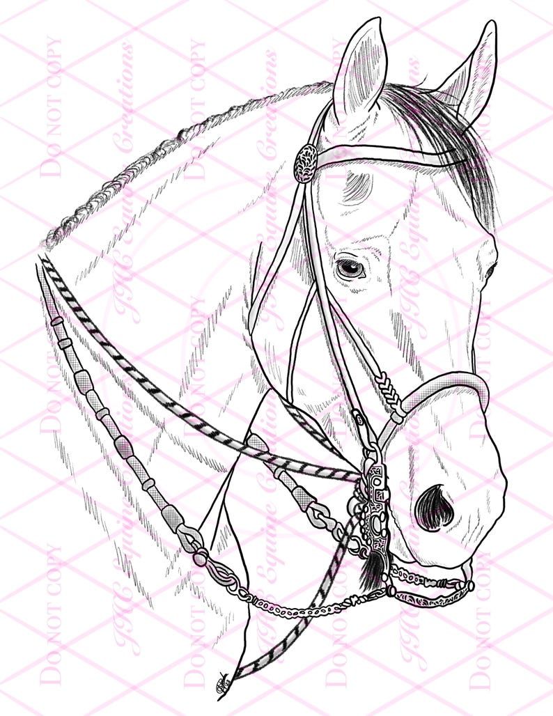Horse Coloring Page Bridle Horse Digital Download NEW SIZE - Etsy UK