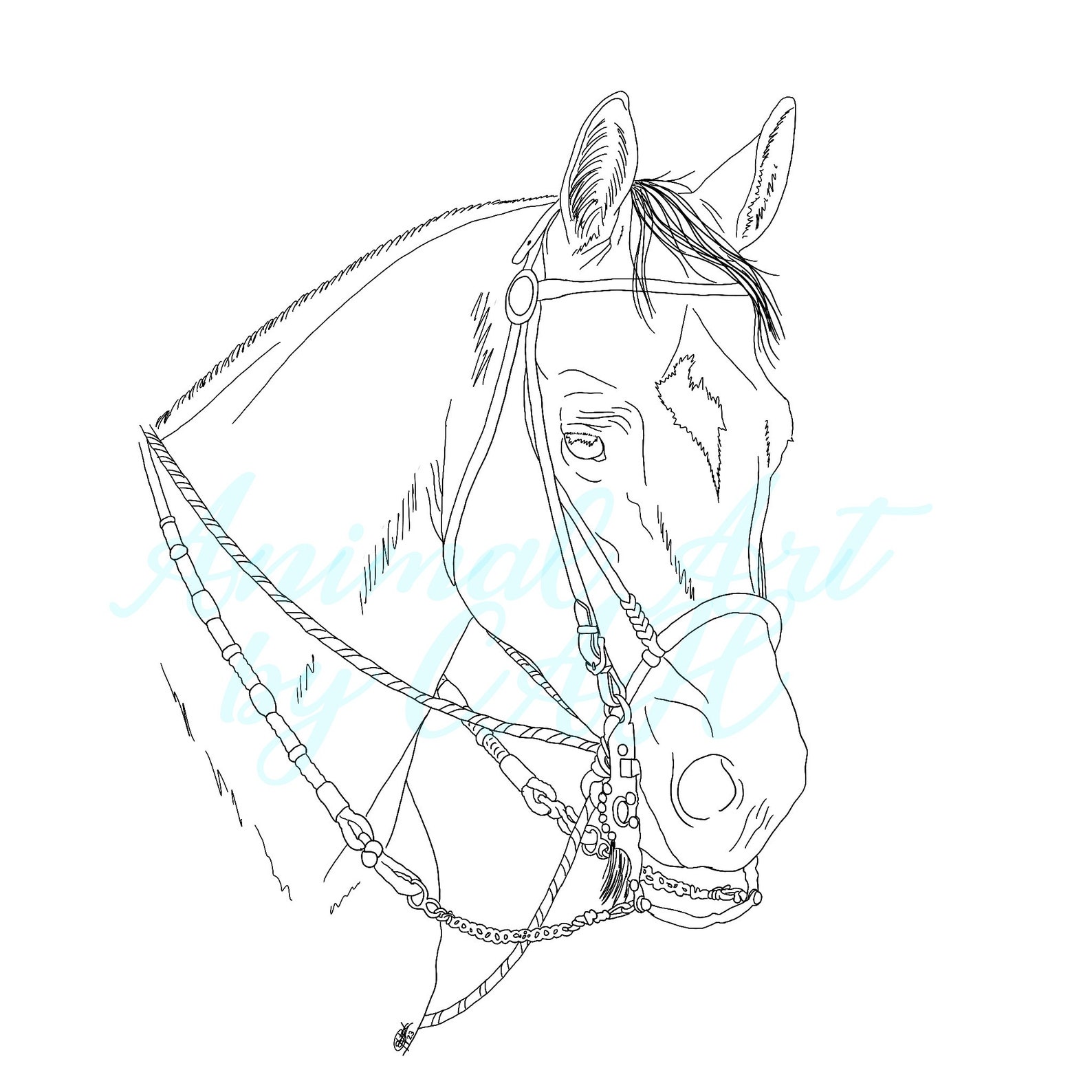 Horse Coloring Page Bridle Horse Digital Download - Etsy