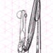 Bridle Bit Two Rein Sublimation PNG Digital Download Santa Barbara ...