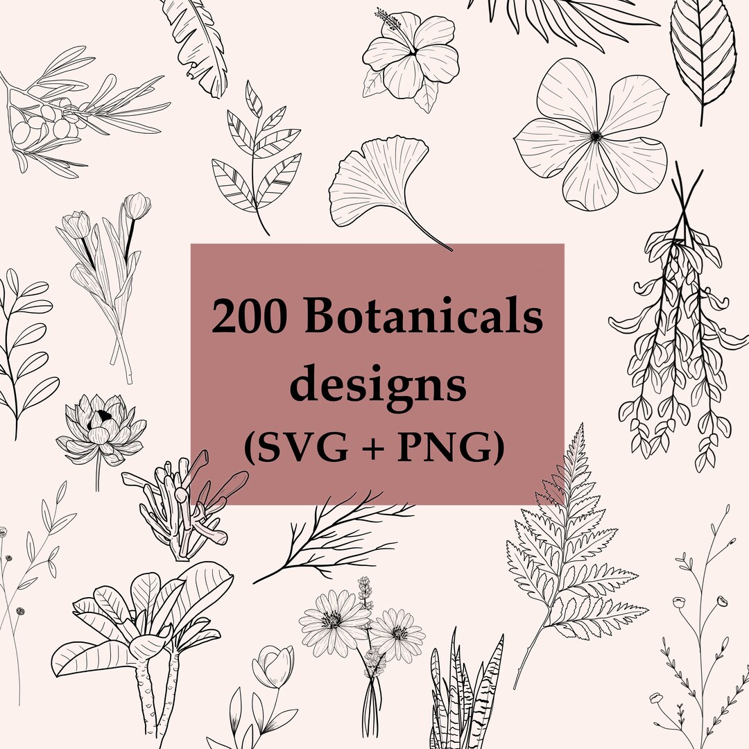 200 Botanical Svg Bundle Floral Designs Clipart Botanical Designs ...