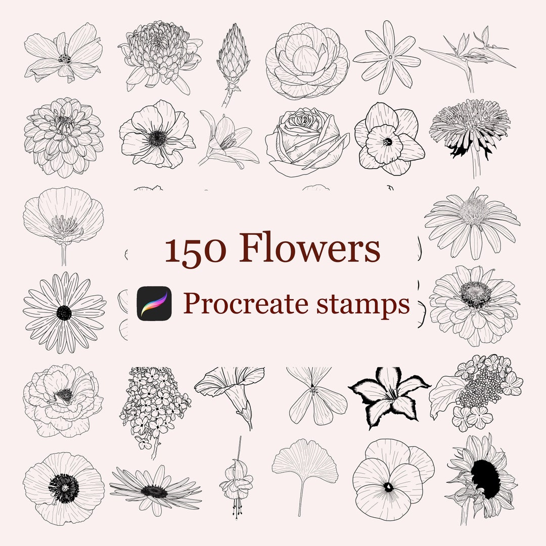 150 Flower Procreate Brushes | Flower Stamps | Procreate Stamps ...